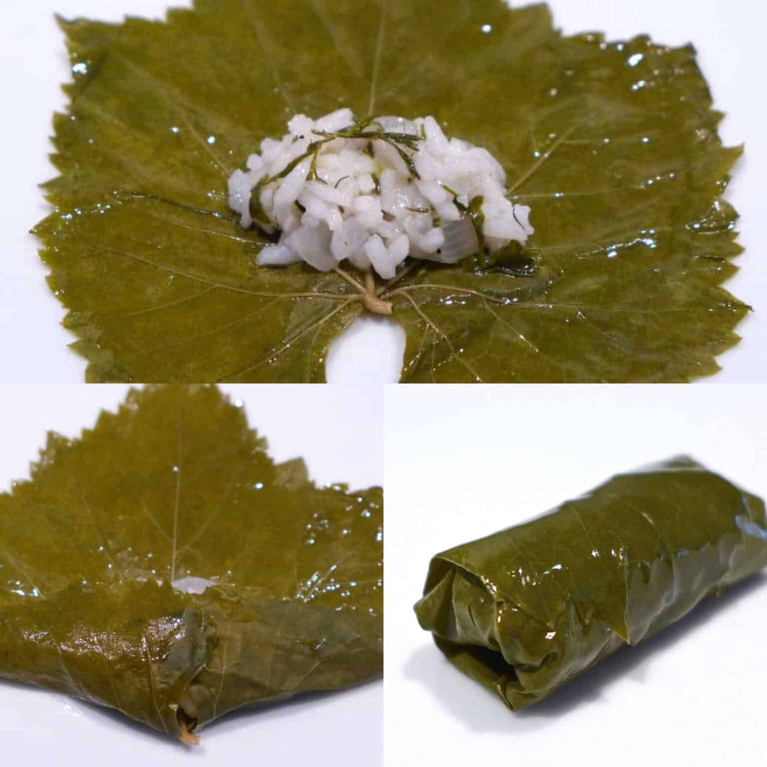 Greek Dolmades recipe (Stuffed Vine/ Grape Leaves Dolmathes) - My Greek ...
