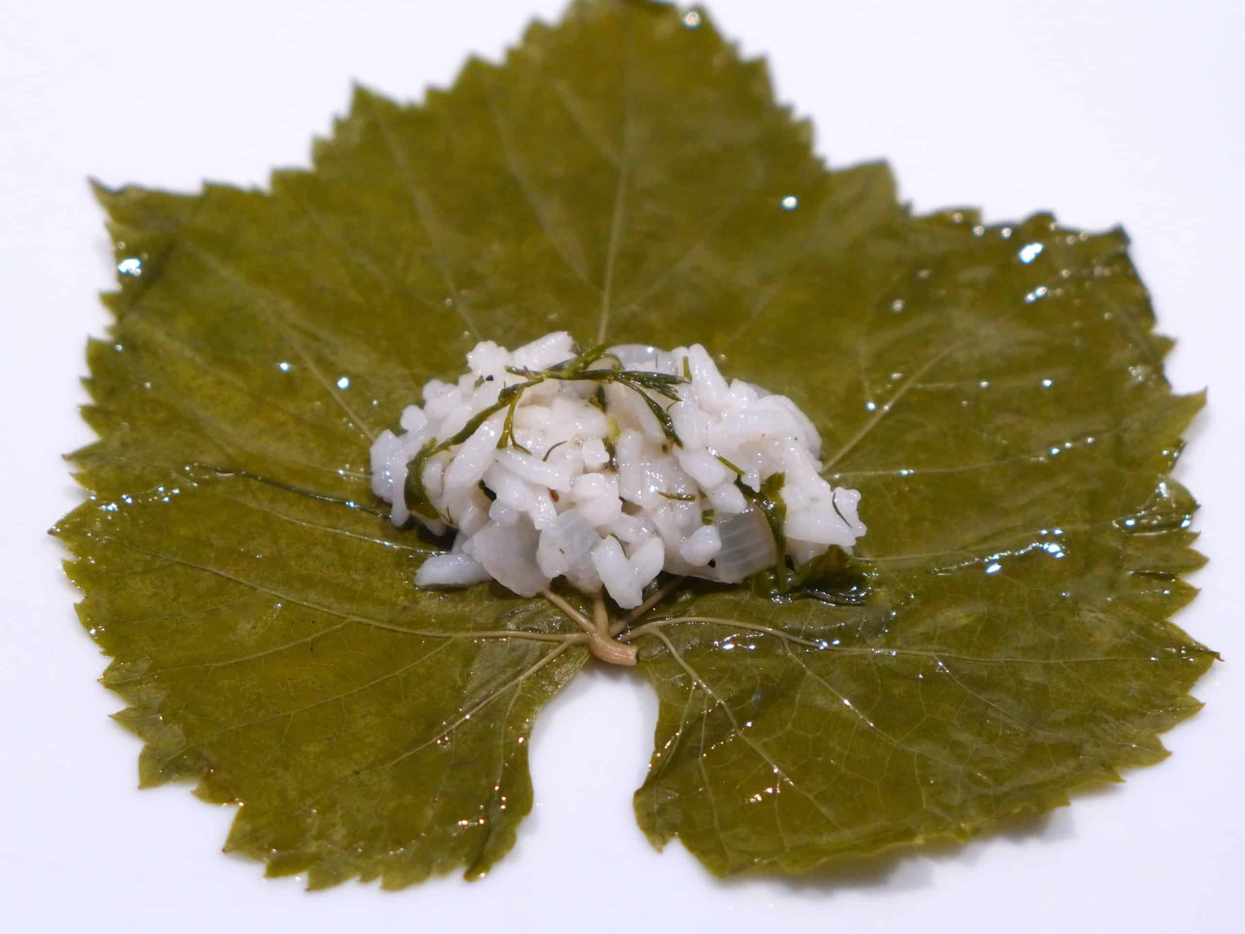 Greek Dolmades recipe (Stuffed Vine/ Grape Leaves Dolmathes) - My Greek ...